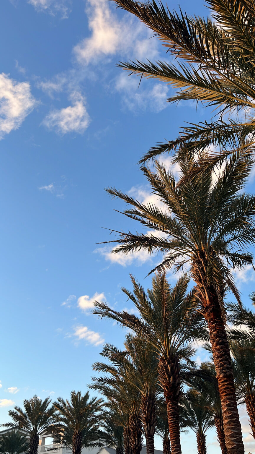 A Week In Seaside, Florida - sydney domanski
