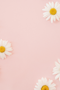 Unique Spring Wallpapers For Your iPhone – 2024 - sydney domanski