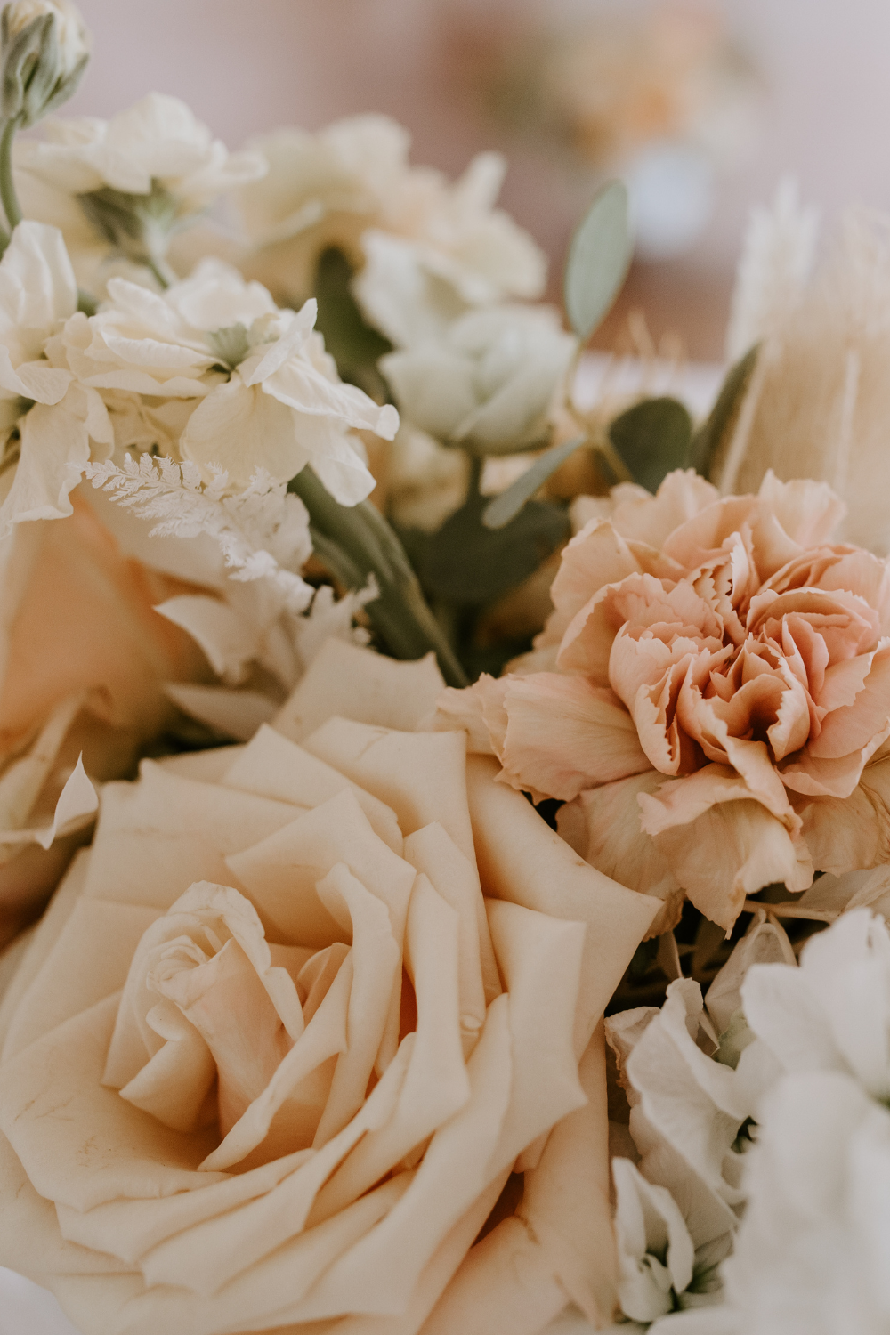 Unique Spring Wallpapers For Your iPhone – 2024 - sydney domanski