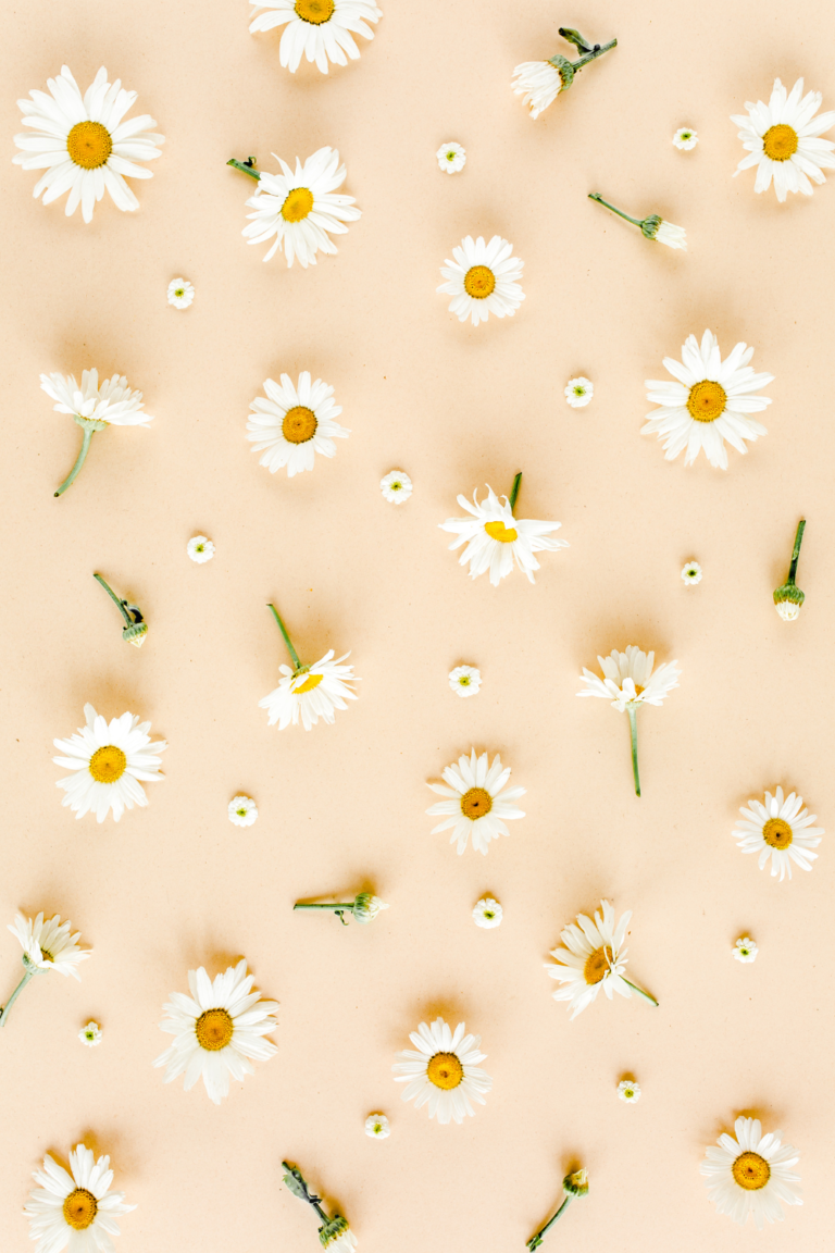 Unique Spring Wallpapers For Your iPhone – 2024 - sydney domanski